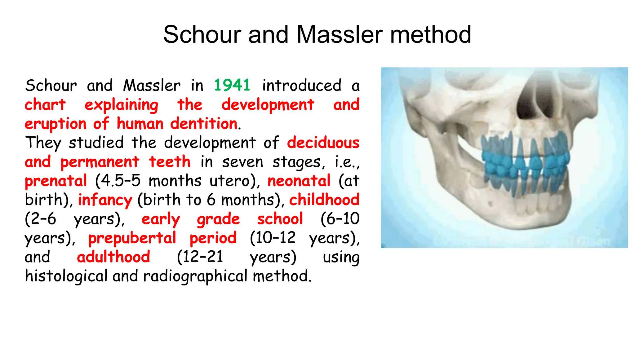 MSCIII_Forensic anthropology_age estimation using dentition.pptx