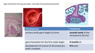 MSCIII_Forensic anthropology_age estimation using dentition.pptx