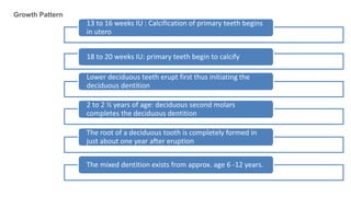 MSCIII_Forensic anthropology_age estimation using dentition.pptx
