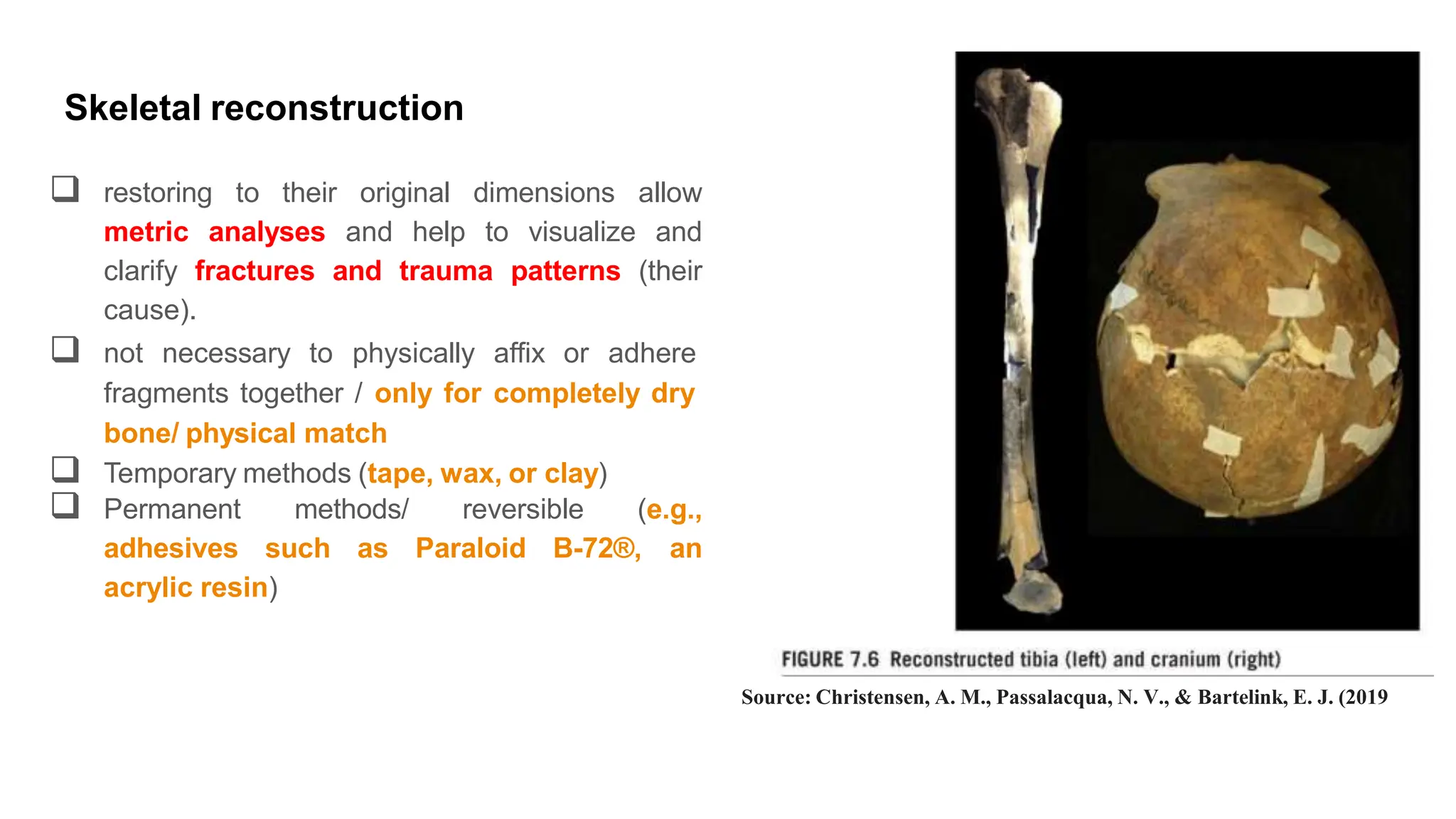 MSCIII_Forensic anthropology_Final.pptx
