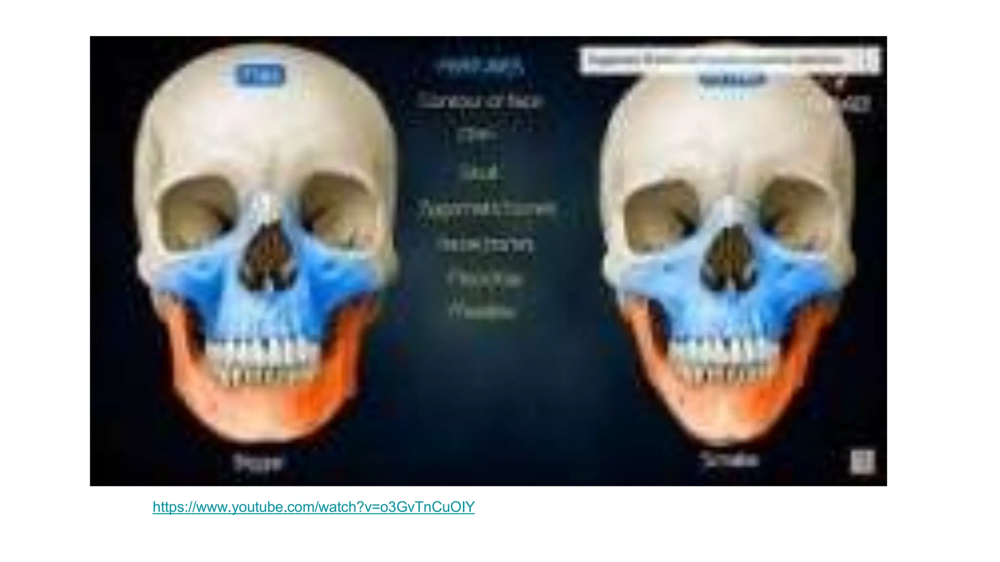 MSCIII_Forensic anthropology_Personal Identification.pptx