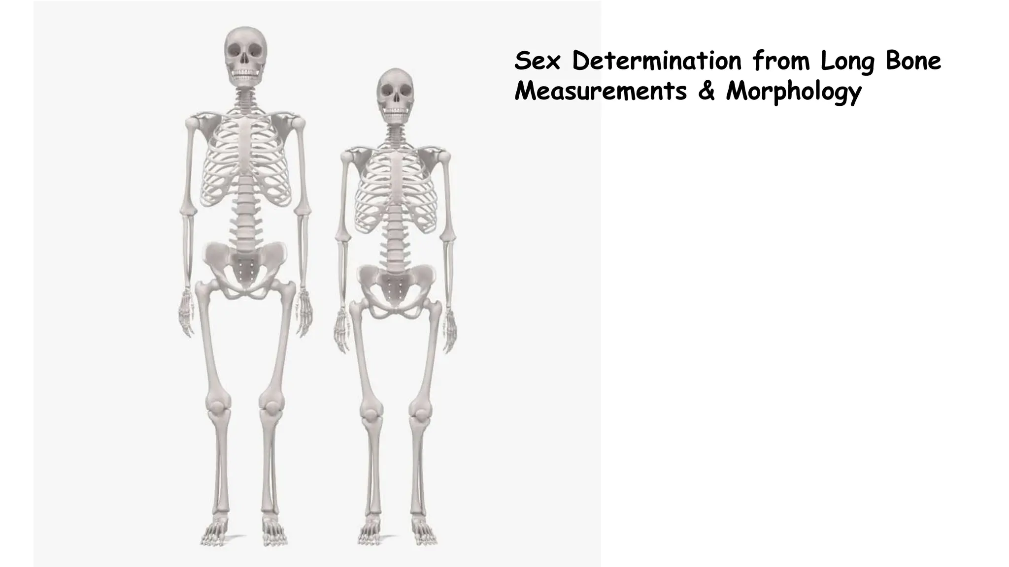 MSCIII_Forensic anthropology_Personal Identification.pptx