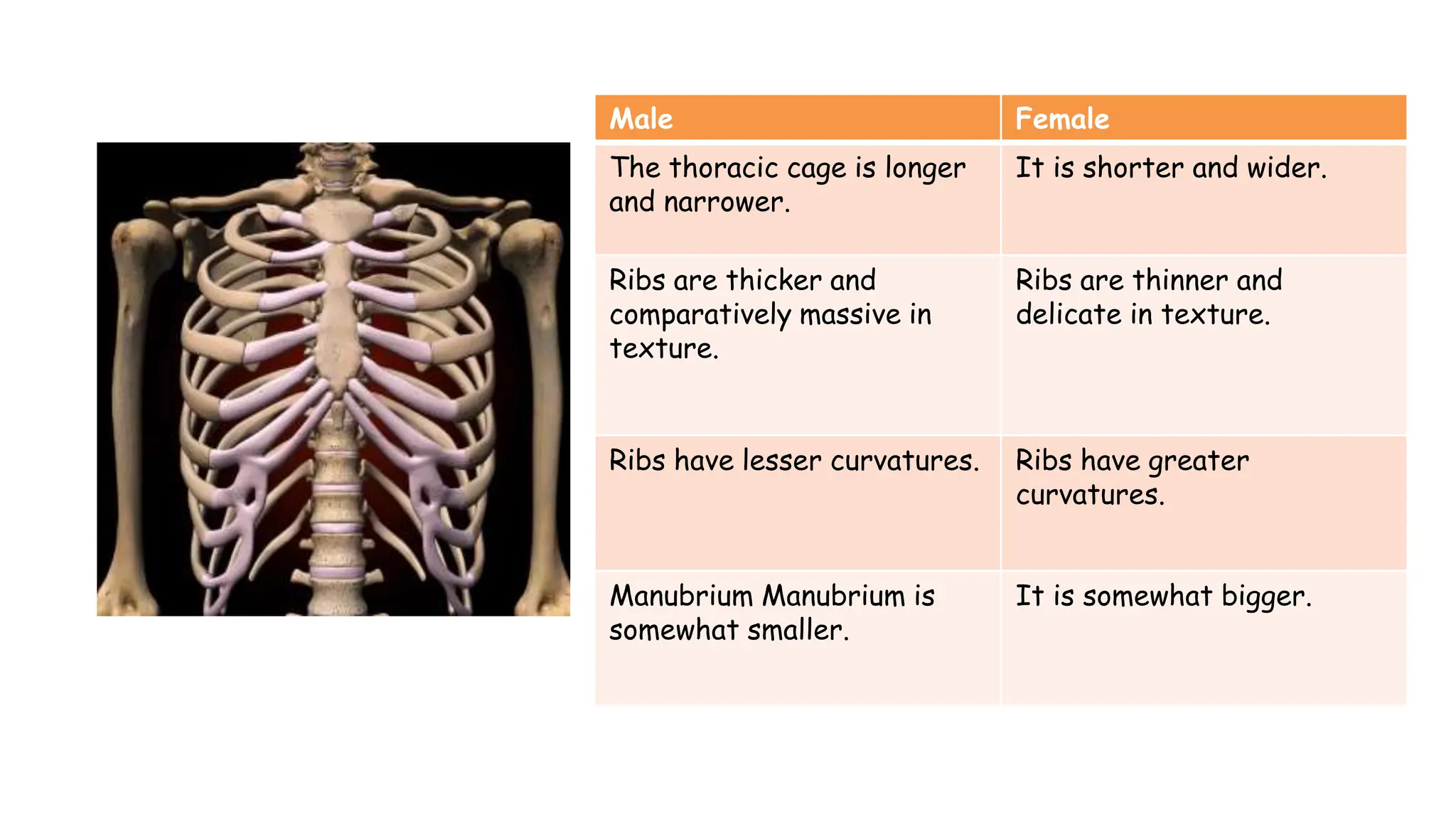 MSCIII_Forensic anthropology_Personal Identification.pptx