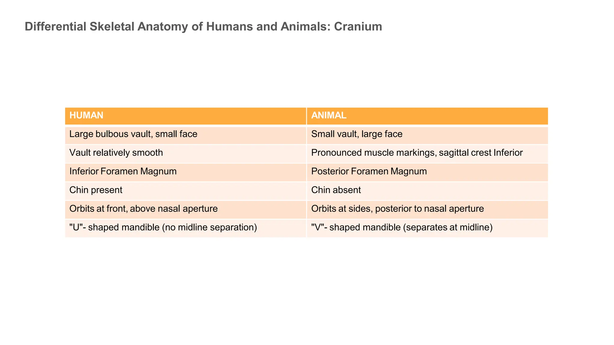 MSCIII_Forensic anthropology_Personal Identification.pptx