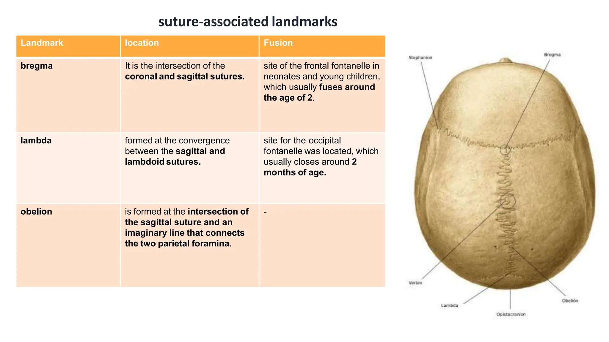 MSCIII_Forensic anthropology_Personal Identification.pptx