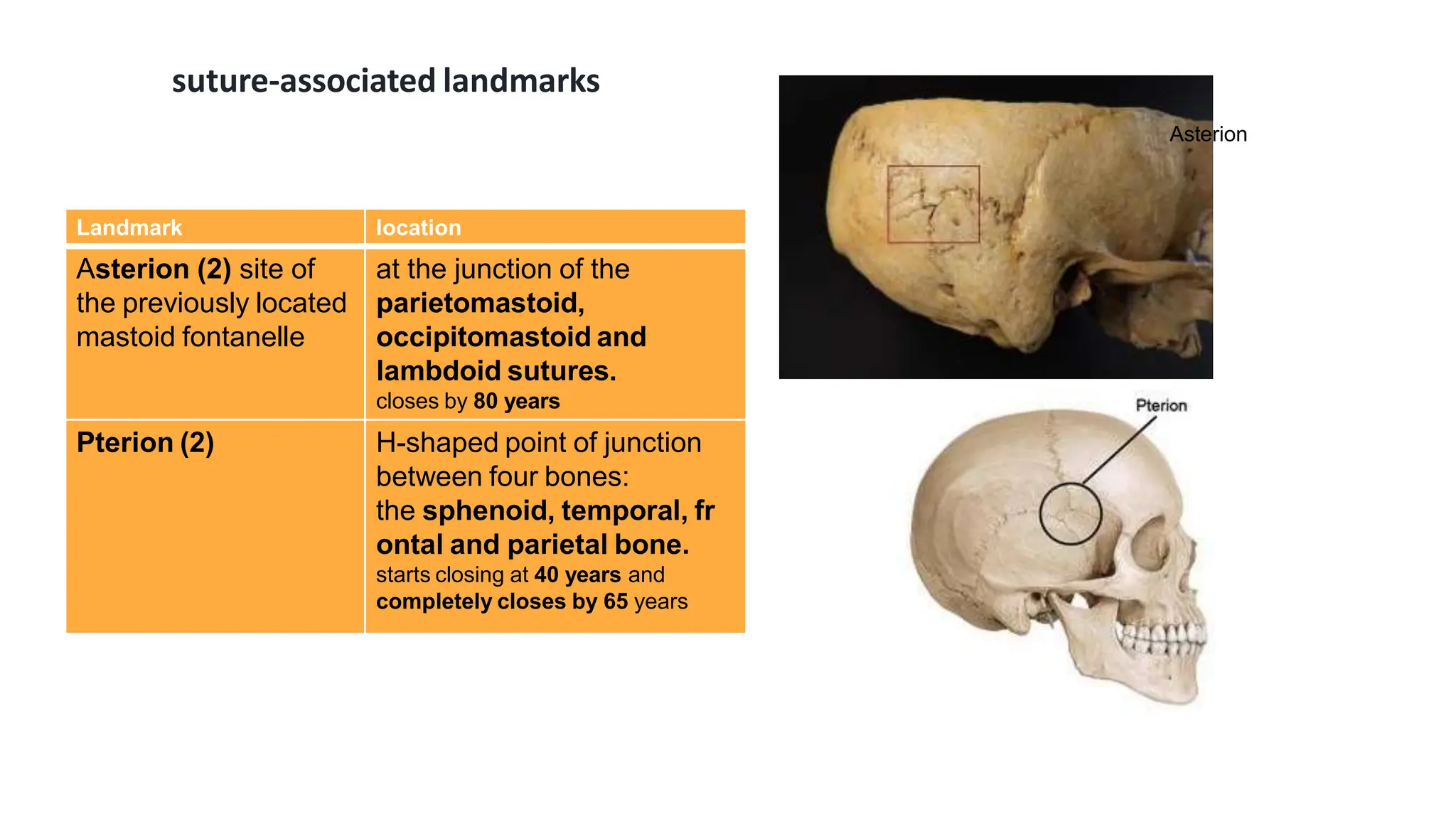 MSCIII_Forensic anthropology_Personal Identification.pptx