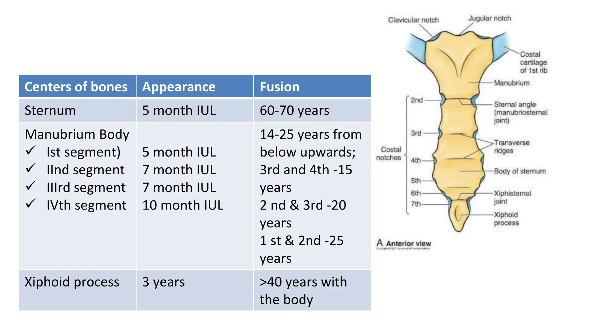 MSCIII_Forensic anthropology_Personal Identification.pptx