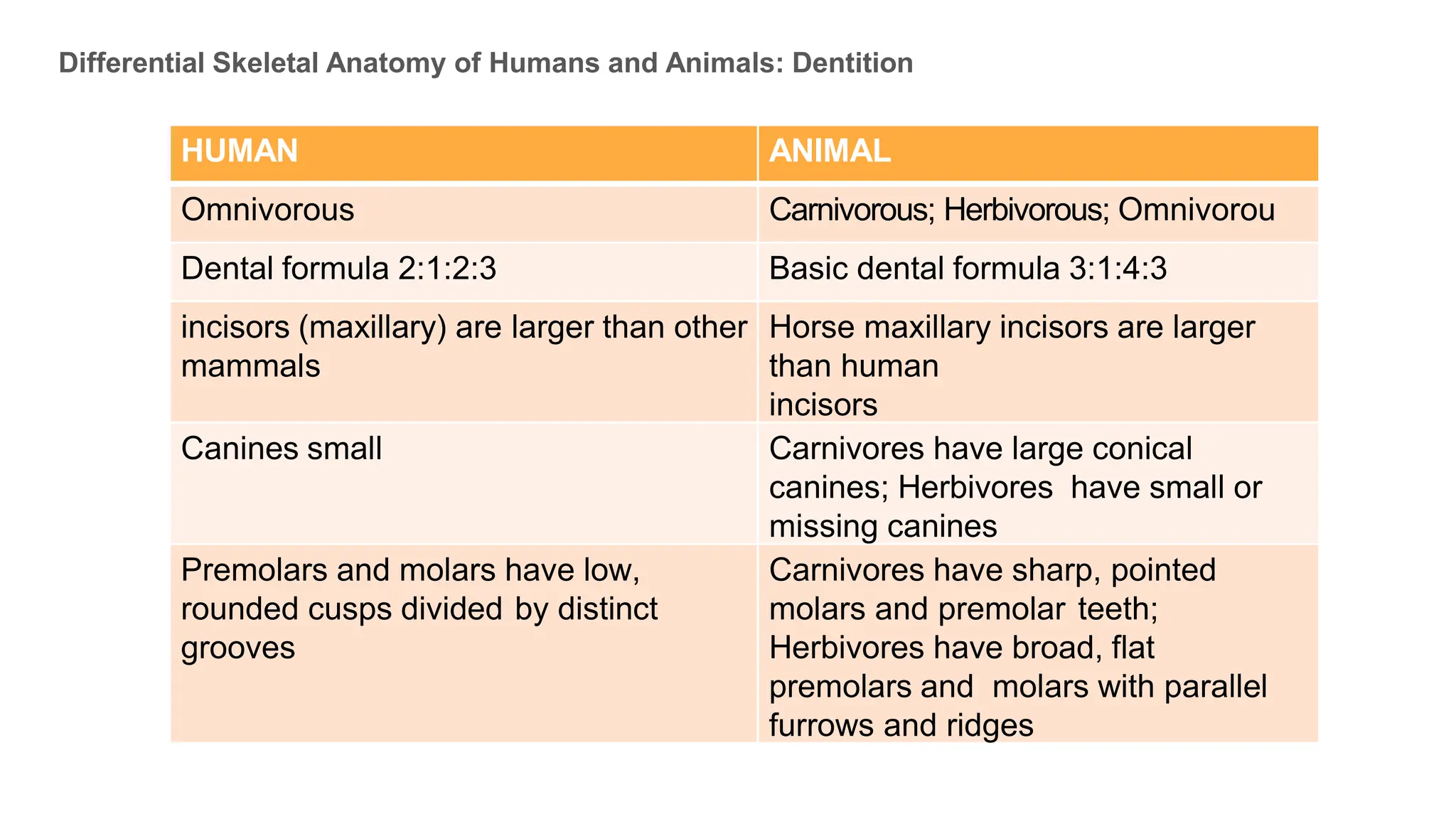 MSCIII_Forensic anthropology_Personal Identification.pptx