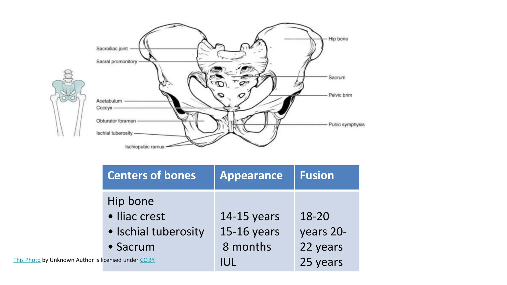 MSCIII_Forensic anthropology_Personal Identification.pptx