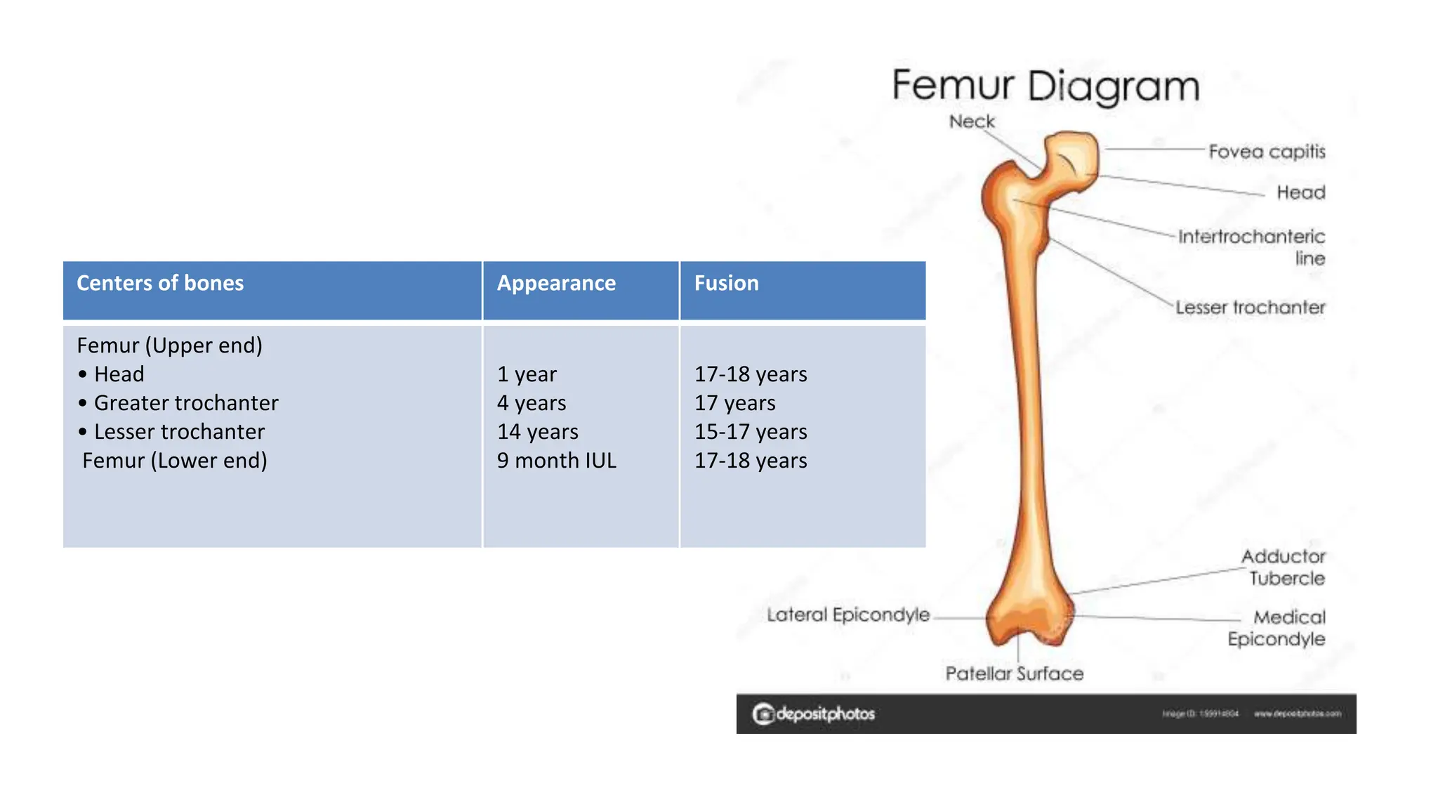 MSCIII_Forensic anthropology_Personal Identification.pptx