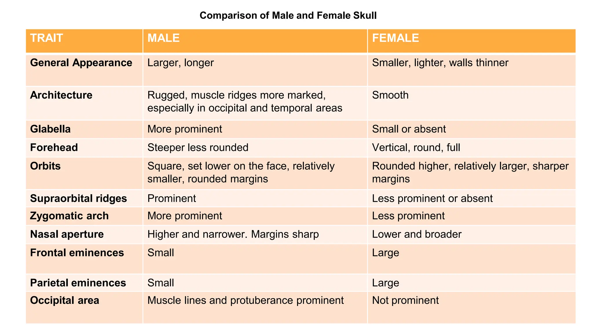 MSCIII_Forensic anthropology_Personal Identification.pptx