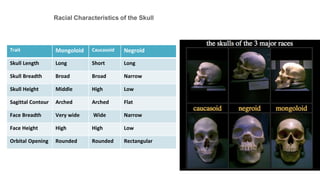 MSCIII_Forensic anthropology_Personal Identification.pptx