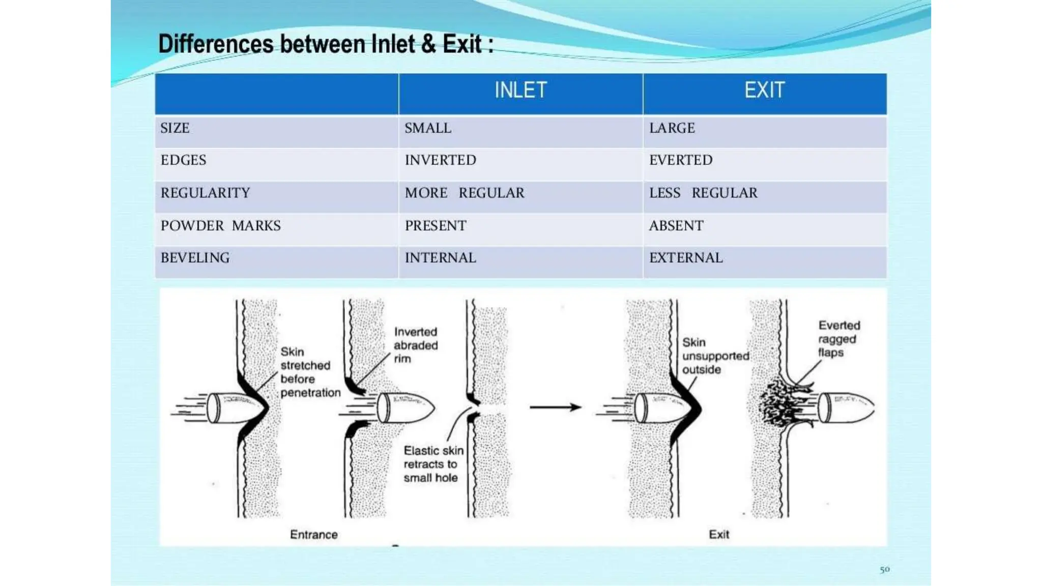 MSCIII_Forensic anthropology_Trauma analysis.pptx