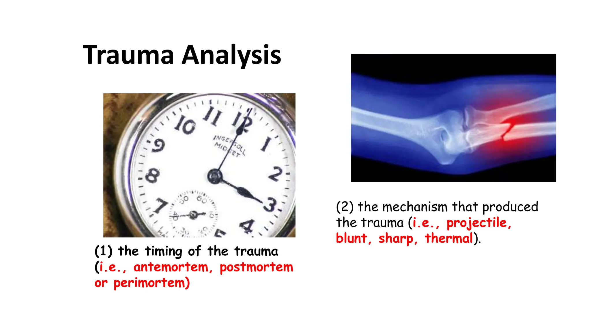 MSCIII_Forensic anthropology_Trauma analysis.pptx