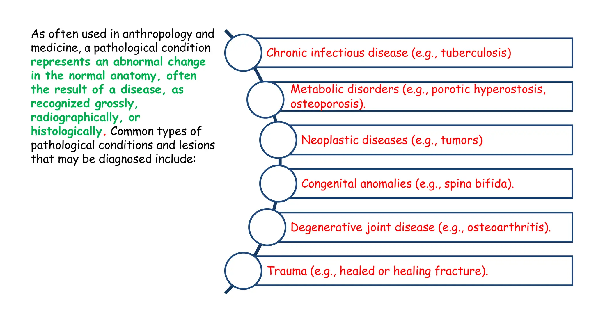 MSCIII_Forensic anthropology_Trauma analysis.pptx