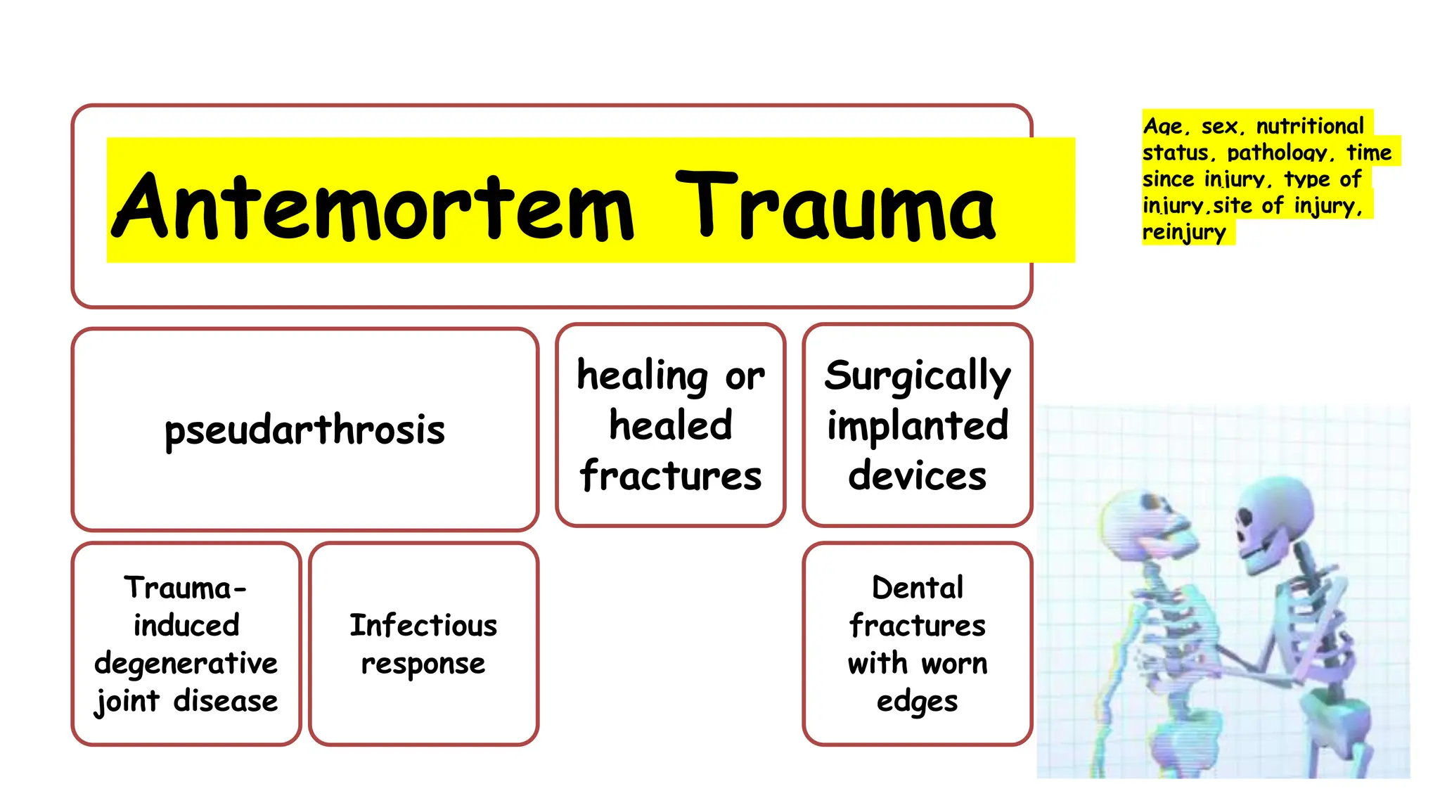 MSCIII_Forensic anthropology_Trauma analysis.pptx