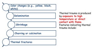 MSCIII_Forensic anthropology_Trauma analysis.pptx