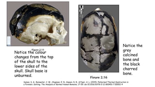 MSCIII_Forensic anthropology_Trauma analysis.pptx