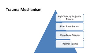 MSCIII_Forensic anthropology_Trauma analysis.pptx