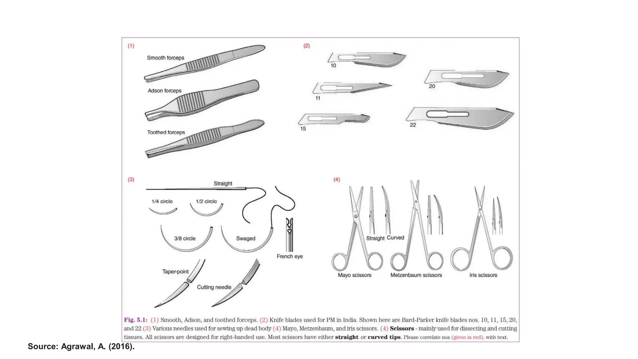 MSC IV_Forensic medicine - autopsy.pdf