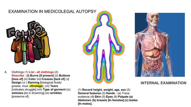 MSC IV_Forensic medicine - autopsy.pdf