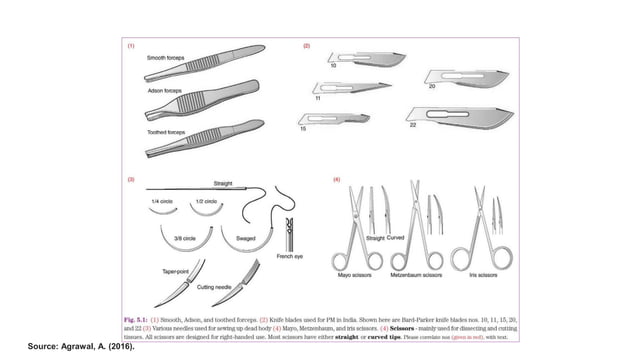 MSC IV_Forensic medicine - autopsy.pdf