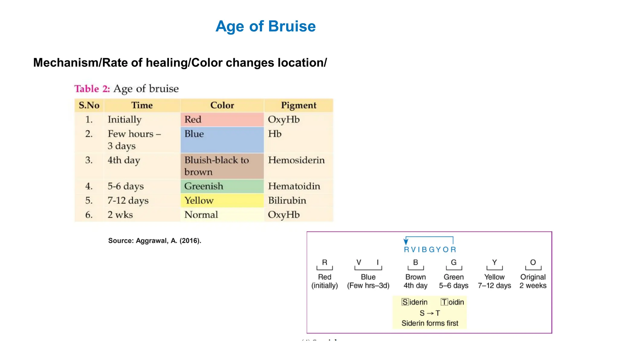 MSC IV_Forensic medicine - Mechanical injuries.pdf