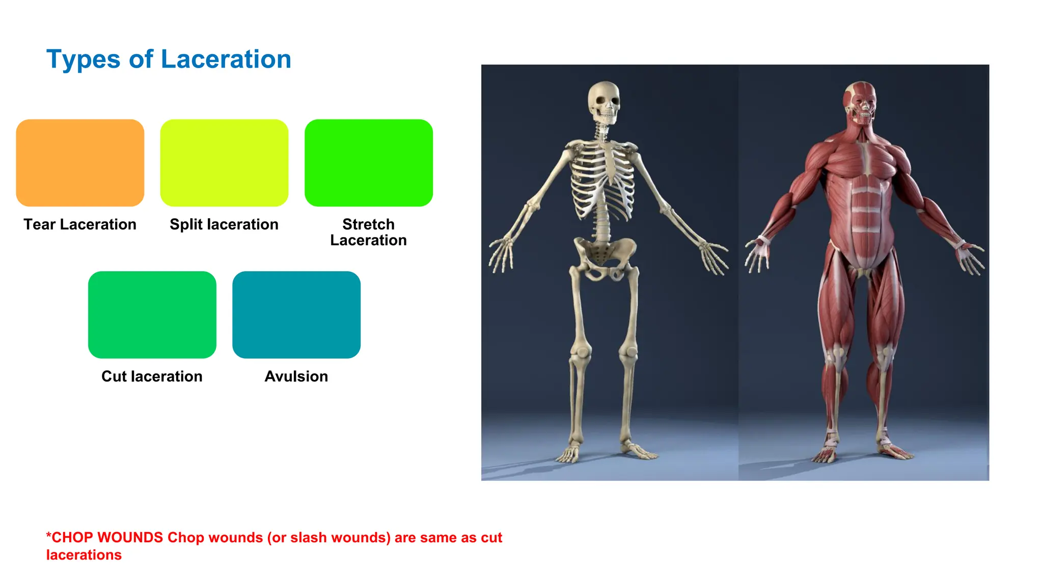 MSC IV_Forensic medicine - Mechanical injuries.pdf
