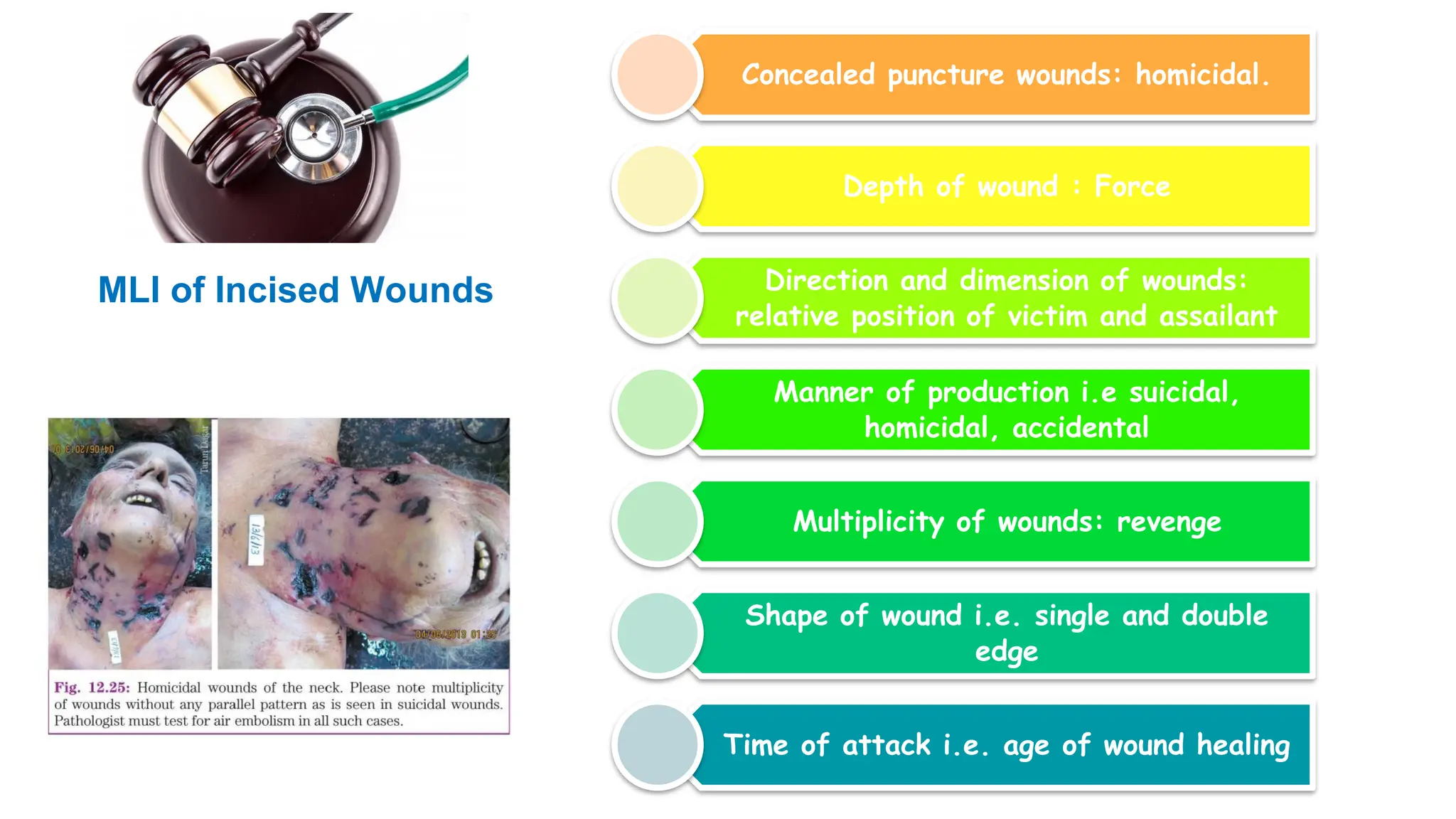MSC IV_Forensic medicine - Mechanical injuries.pdf