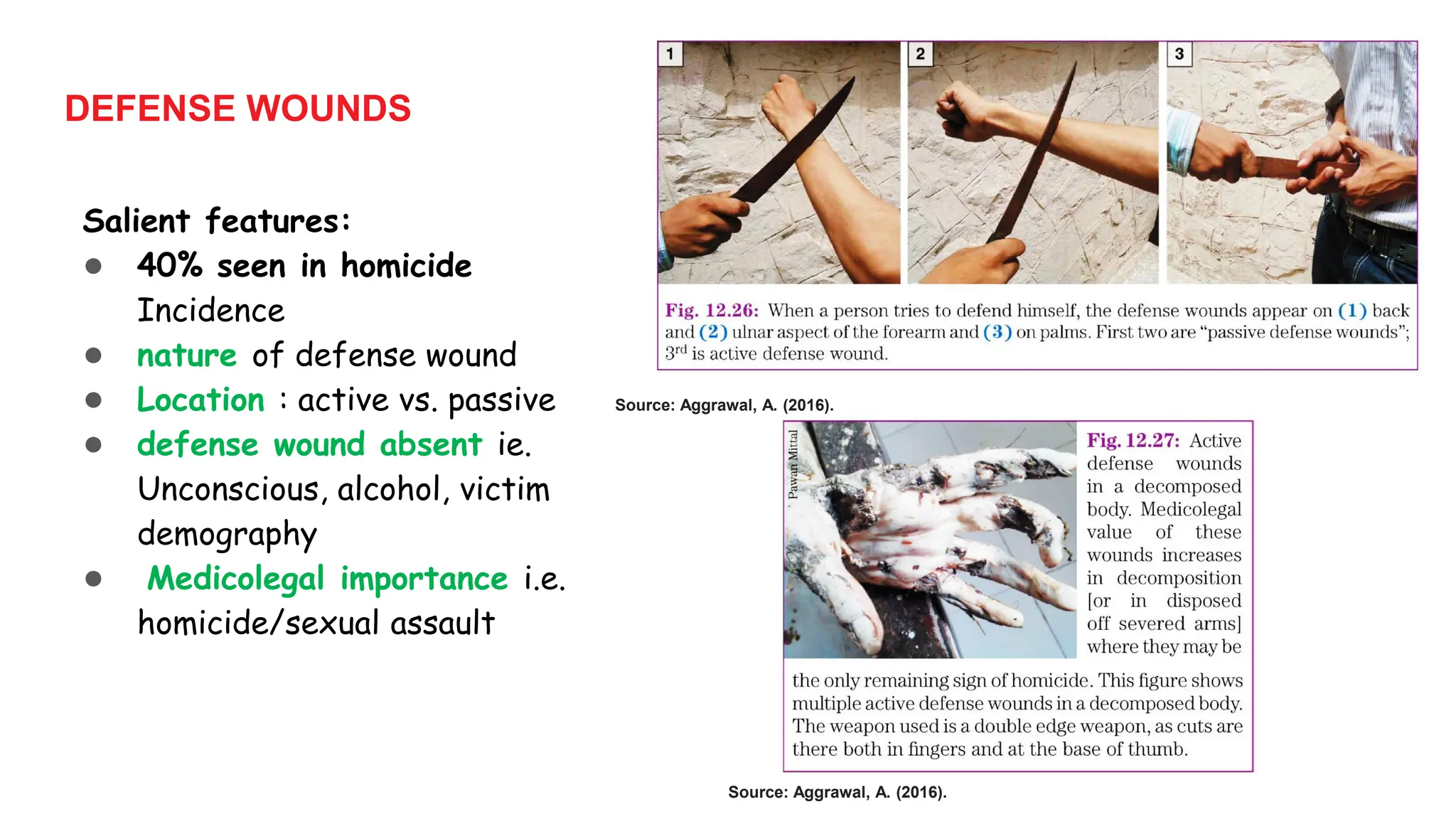 MSC IV_Forensic medicine - Mechanical injuries.pdf