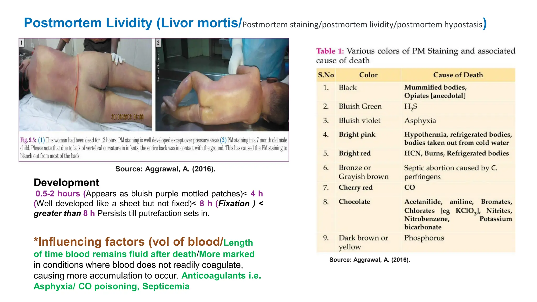 MSC IV_Forensic medicine - Thanatology.pdf