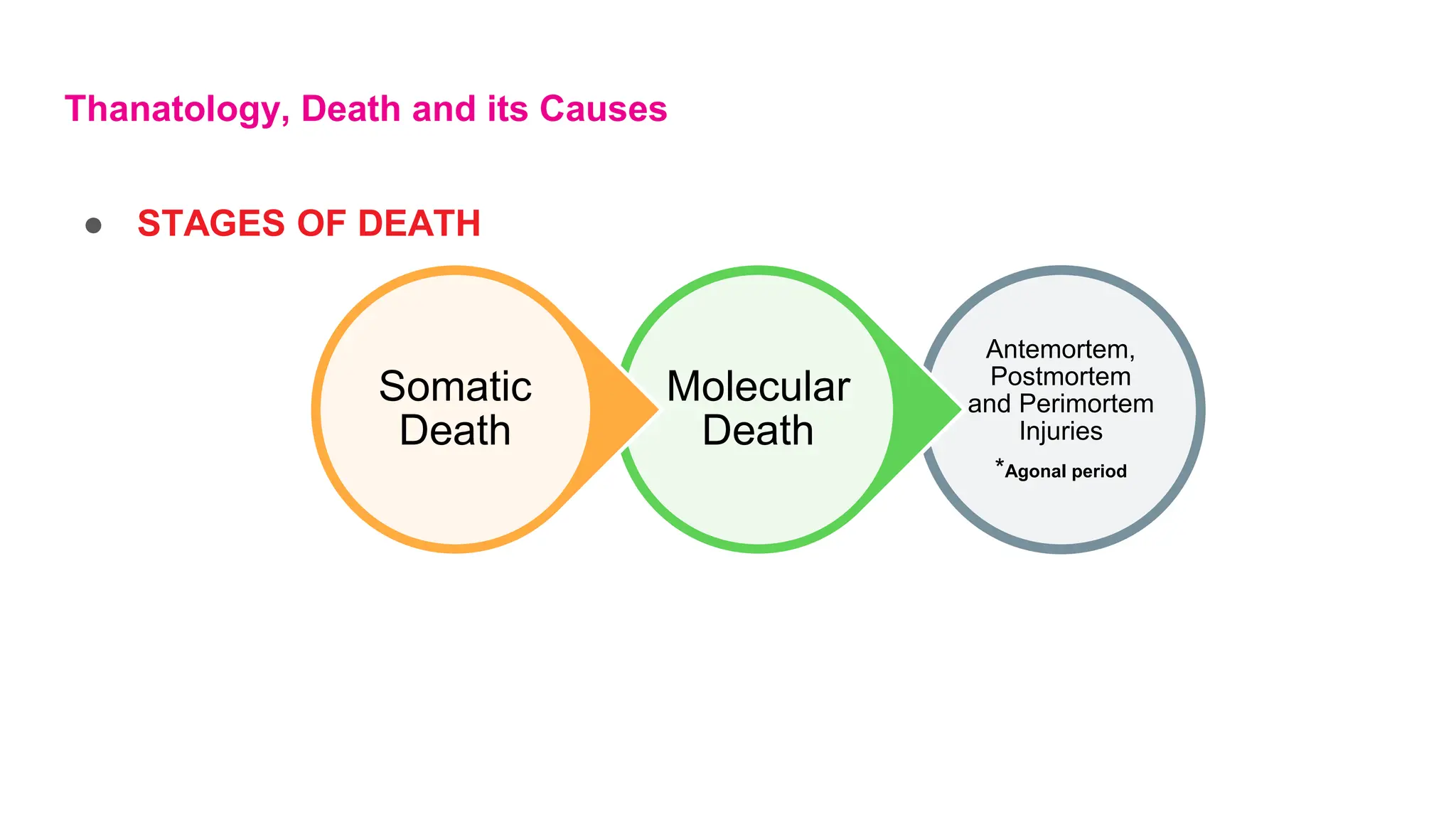 MSC IV_Forensic medicine - Thanatology.pdf