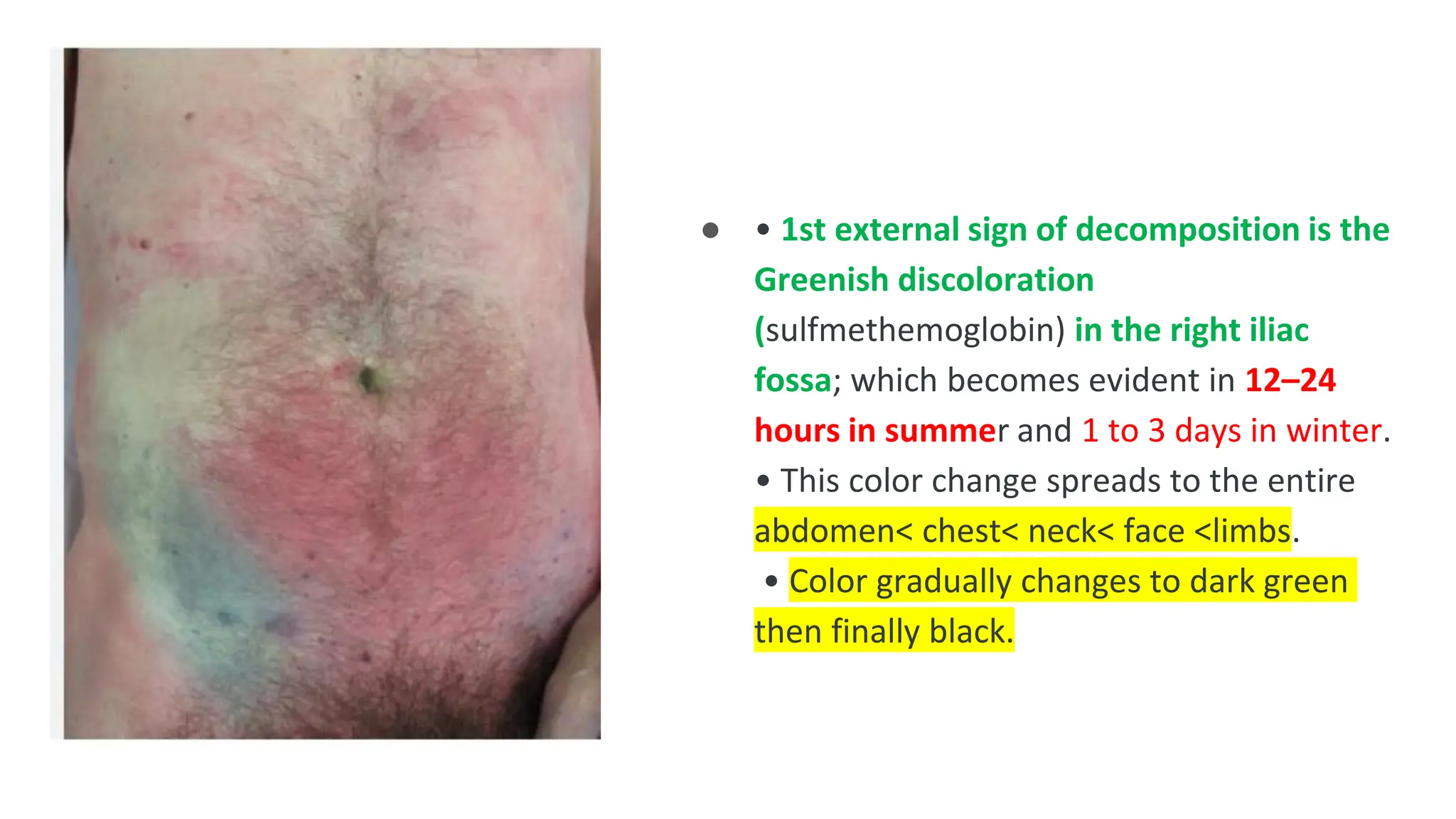 MSC IV_Forensic medicine - Thanatology.pdf