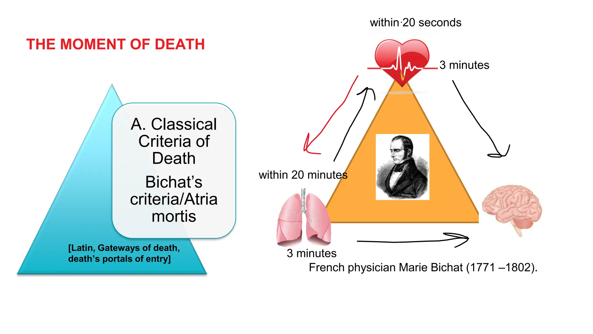 MSC IV_Forensic medicine - Thanatology.pdf