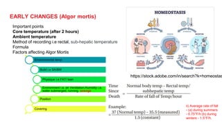 MSC IV_Forensic medicine - Thanatology.pdf