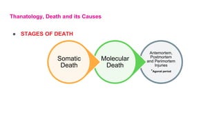 MSC IV_Forensic medicine - Thanatology.pdf
