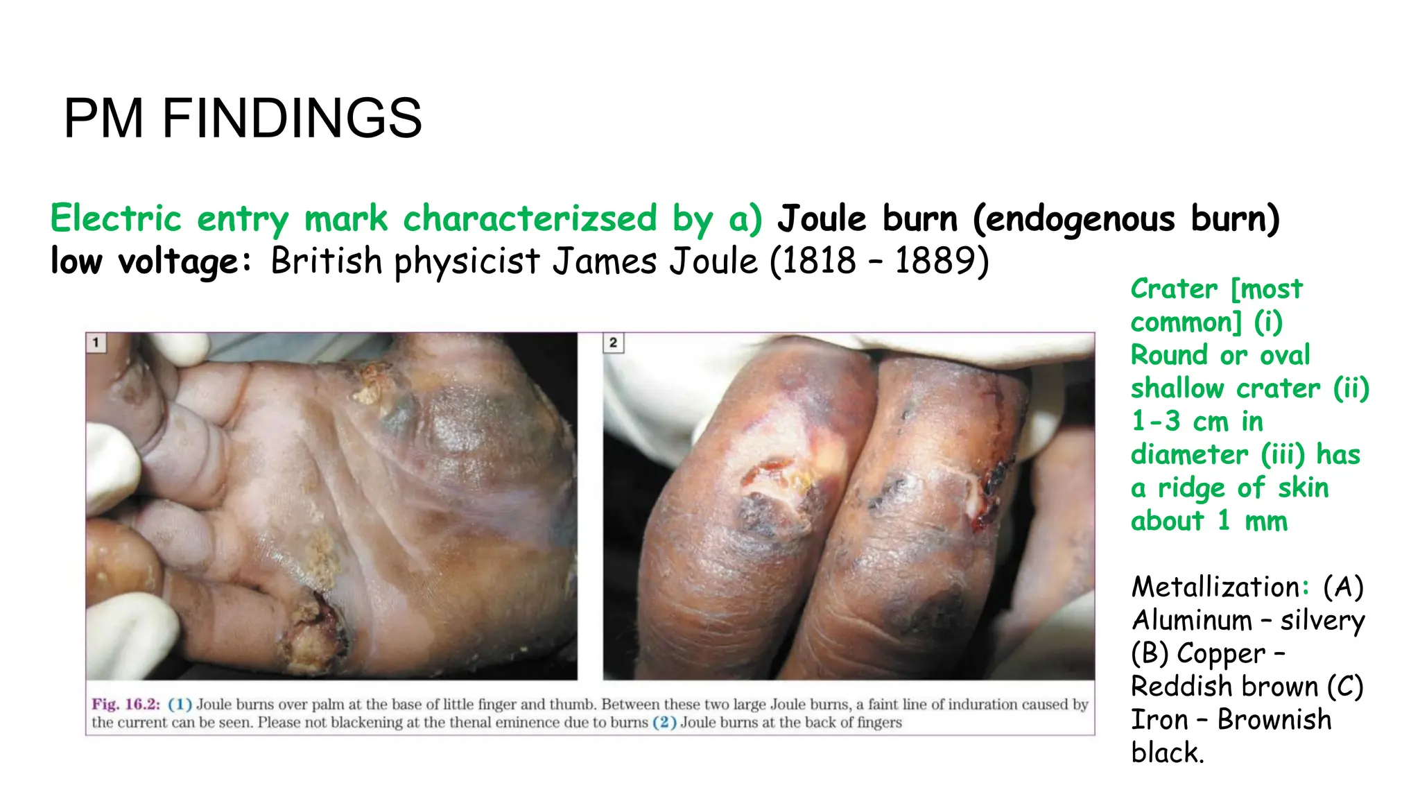 MSC IV_Forensic medicine - Thermal and firearm injuries.pdf