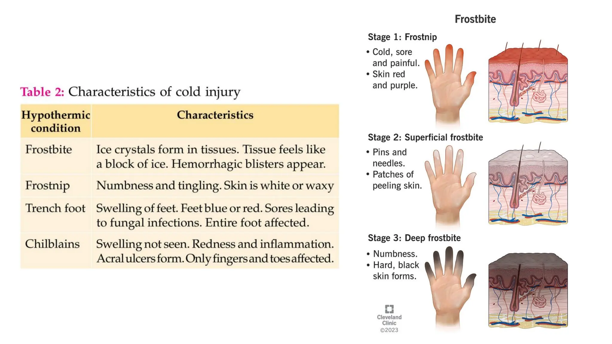 MSC IV_Forensic medicine - Thermal and firearm injuries.pdf