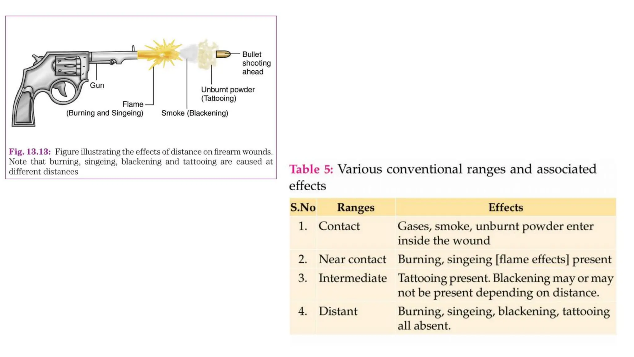 MSC IV_Forensic medicine - Thermal and firearm injuries.pdf
