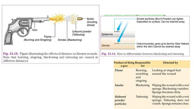 MSC IV_Forensic medicine - Thermal and firearm injuries.pdf