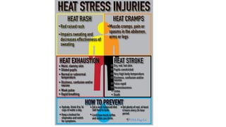 MSC IV_Forensic medicine - Thermal and firearm injuries.pdf