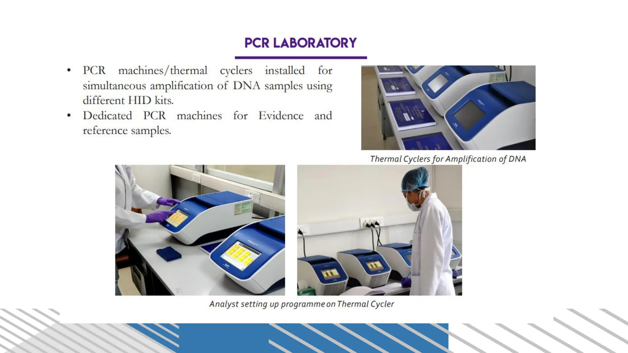 MSC IV SEMESTER_DNA Profiling -DNA introduction and extraction.pdf
