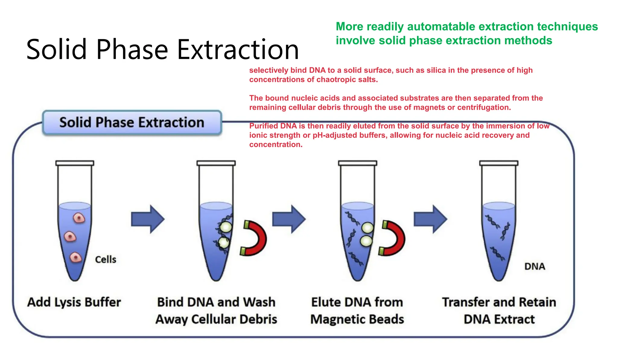 MSC IV SEMESTER_DNA Profiling -DNA introduction and extraction.pdf