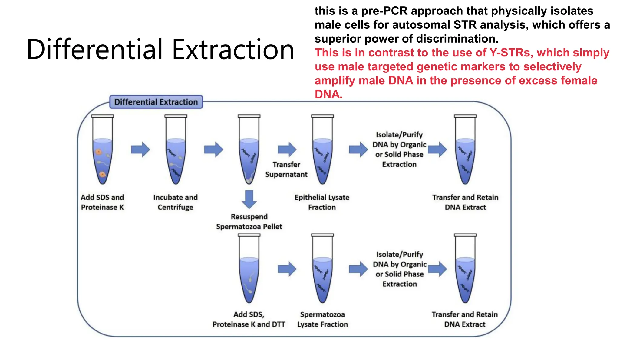 MSC IV SEMESTER_DNA Profiling -DNA introduction and extraction.pdf