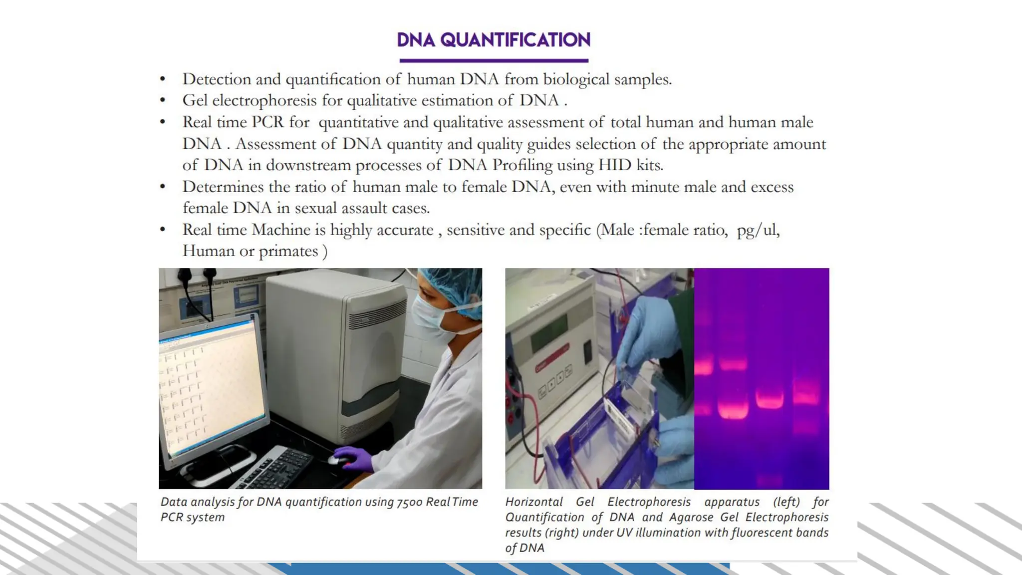 MSC IV SEMESTER_DNA Profiling -DNA introduction and extraction.pdf
