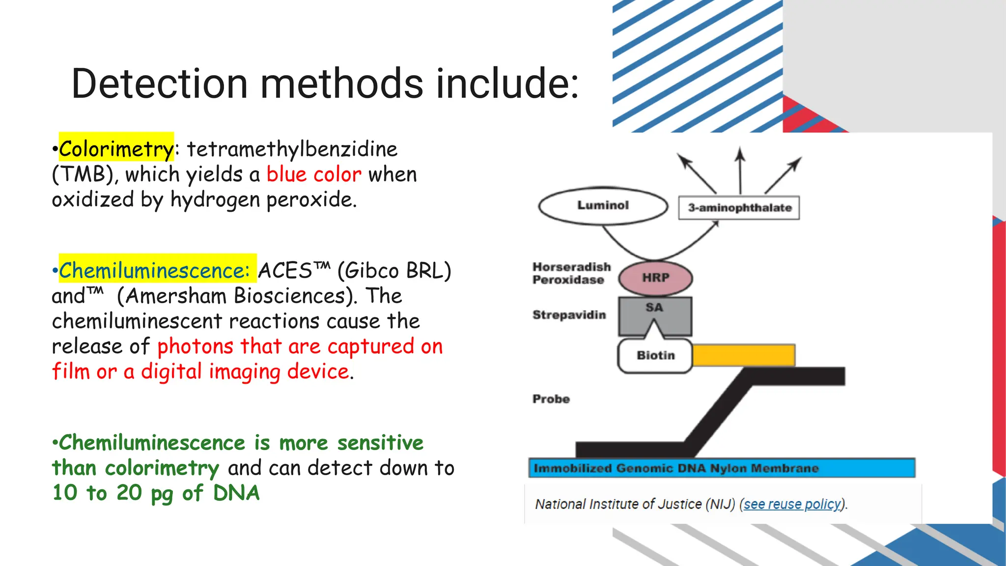 MSC IV SEMESTER_DNA Profiling - DNA quantification.pdf
