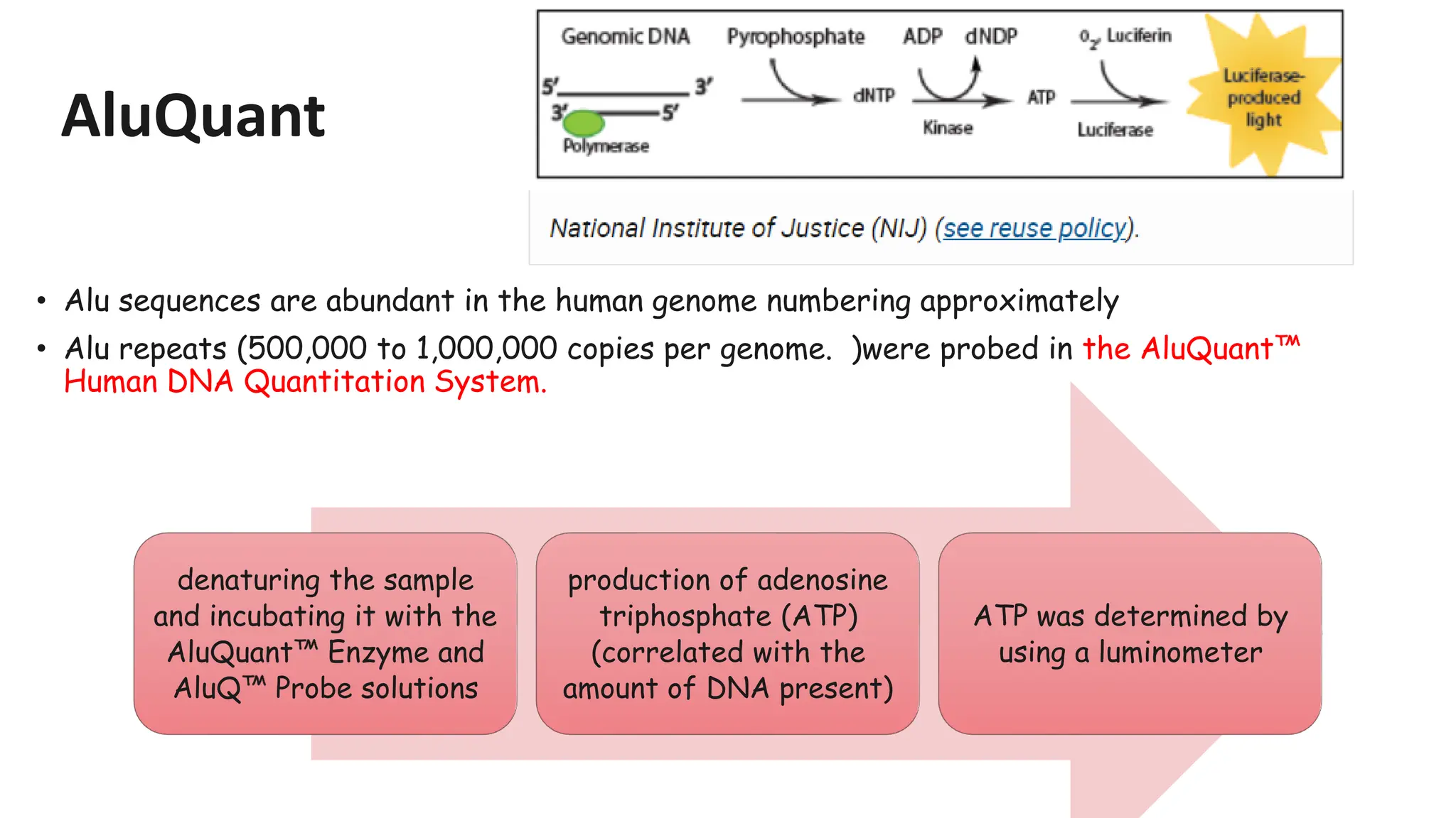 MSC IV SEMESTER_DNA Profiling - DNA quantification.pdf