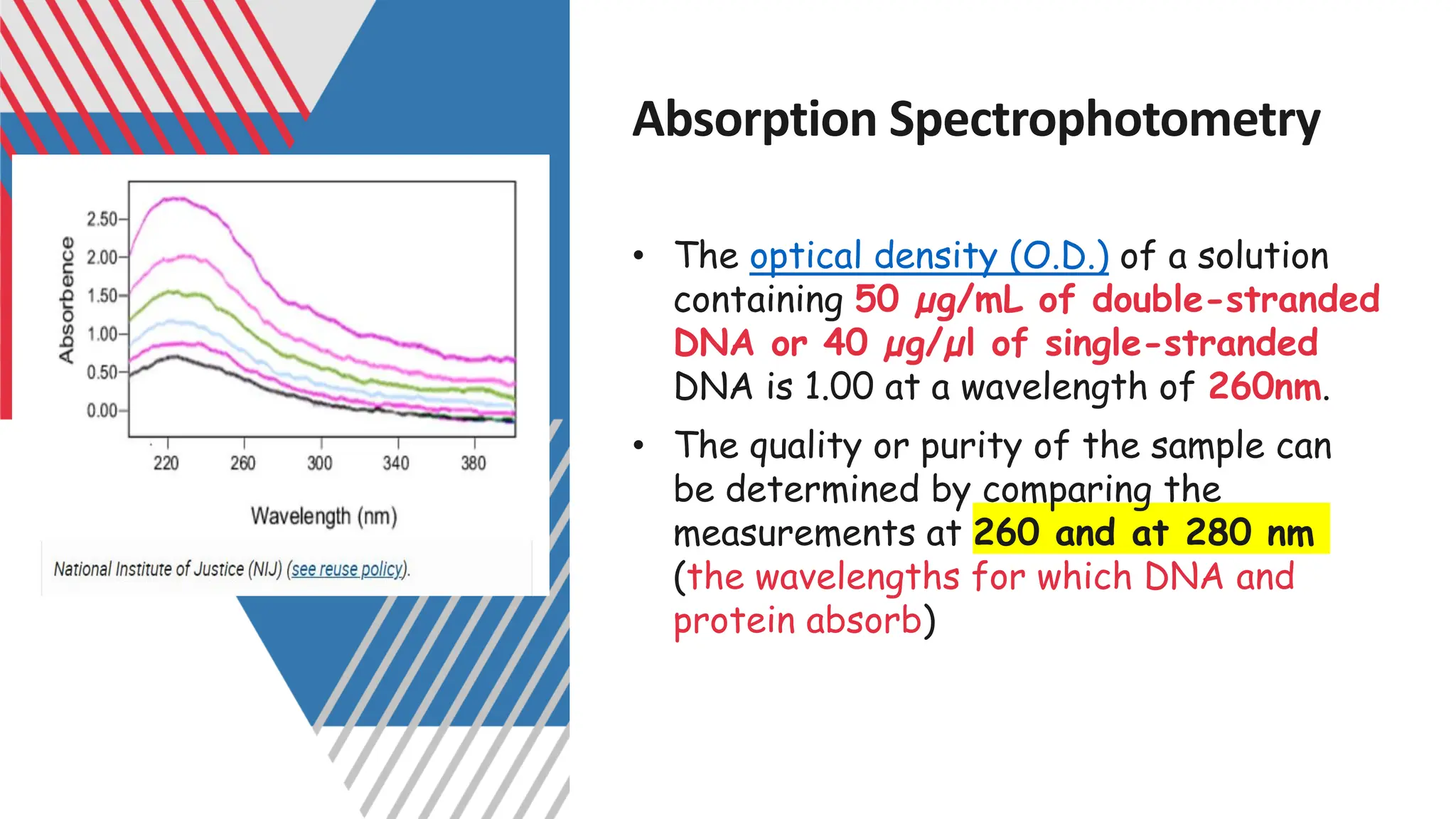 MSC IV SEMESTER_DNA Profiling - DNA quantification.pdf