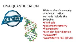 MSC IV SEMESTER_DNA Profiling - DNA quantification.pdf