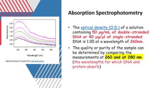 MSC IV SEMESTER_DNA Profiling - DNA quantification.pdf